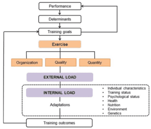 Roadmap to monitoring and optimising the training process in team sports.